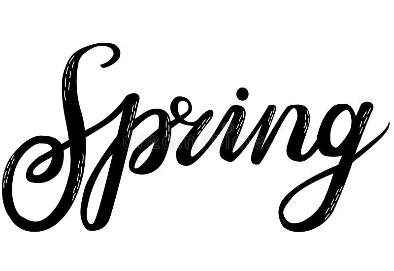 Word Spring. Simple Vector Hand Drawn Calligraphy Lettering Stock ...