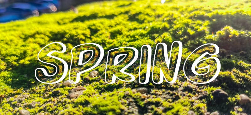 The Word Spring with a Transparent Background Against the Background of ...