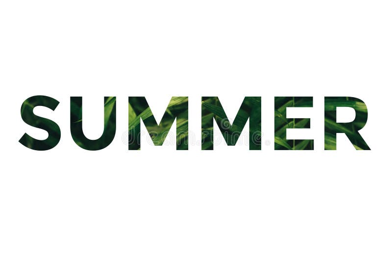 The Word Summer from a Palm Leaf on a White Background. Summer Concept ...