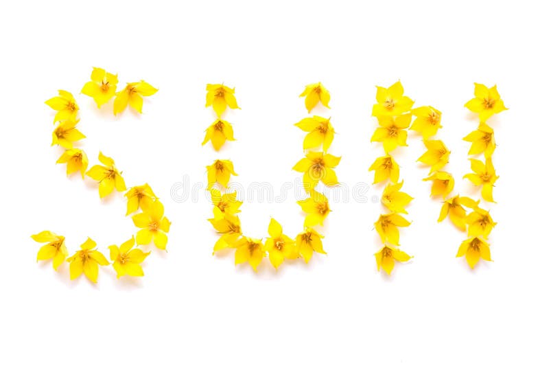 Word SUN Written with Yellow Flowers Stock Photo - Image of isolated ...