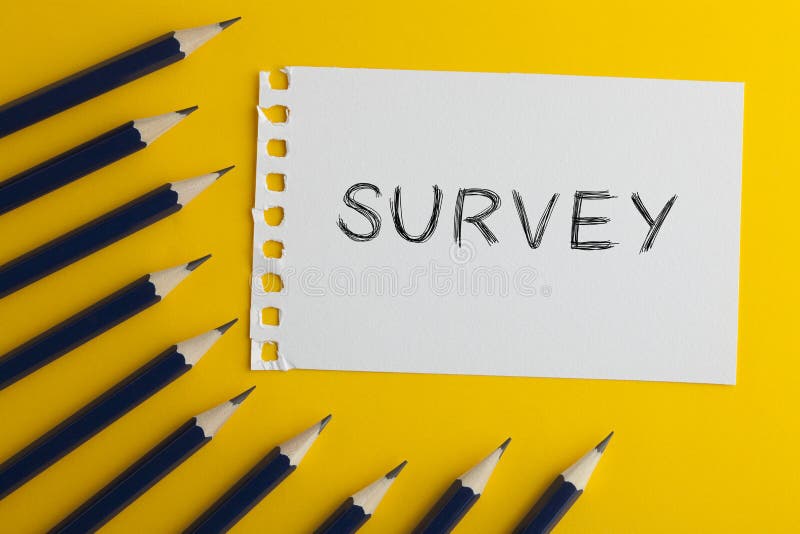 Survey Text Image stock image. Image of college, networking - 196724747