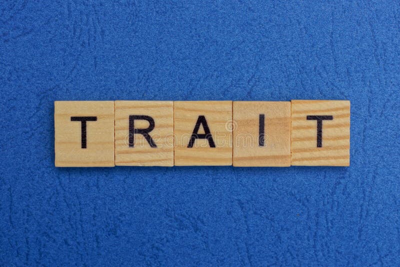 Word Trait Made of Brown Wooden Letters Stock Image - Image of type ...