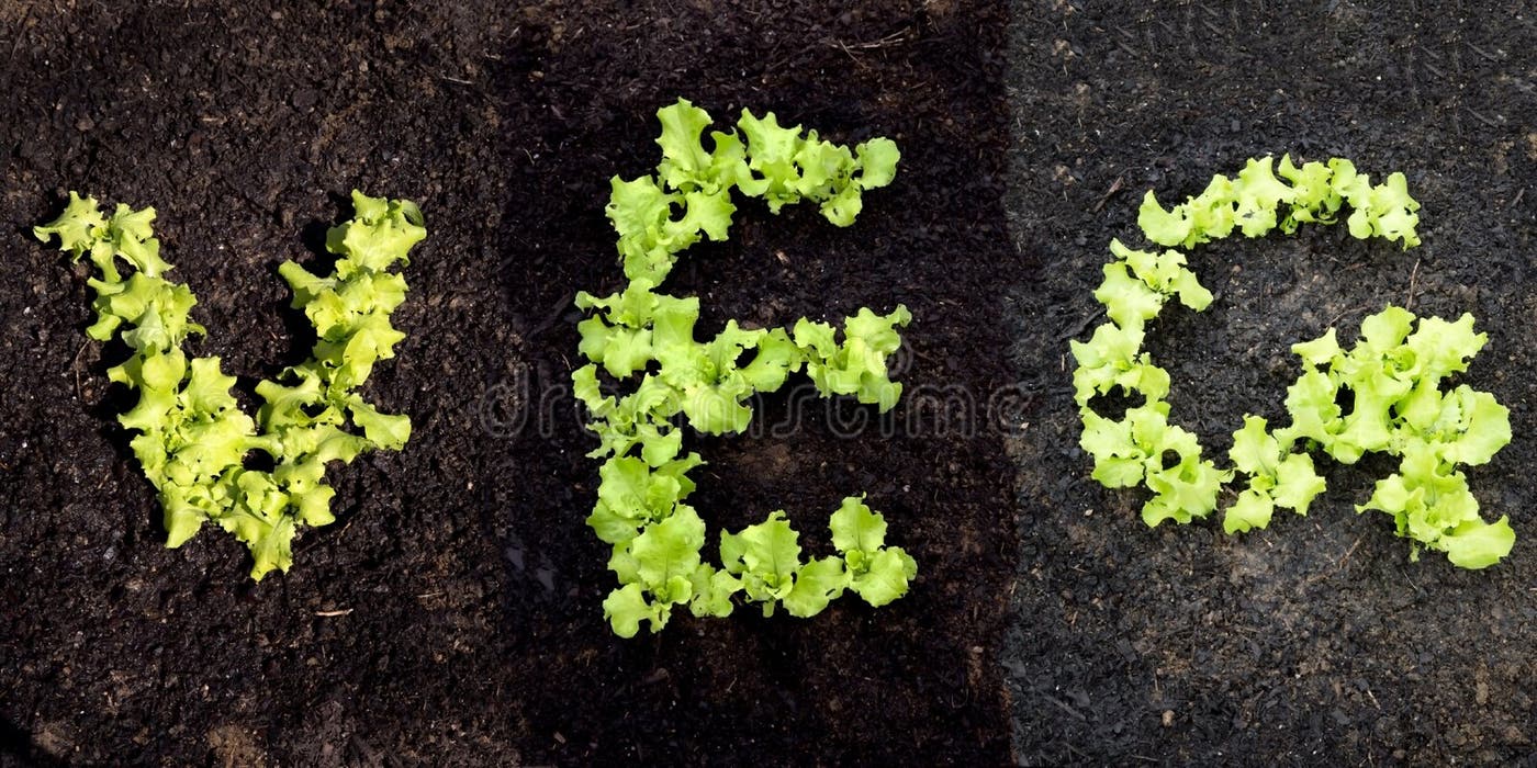 Veg Characters Stock Photos - Free & Royalty-Free Stock Photos from ...