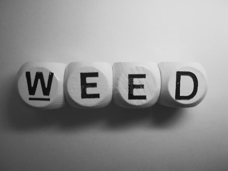 Word weed spelled on dice stock image. Image of block - 123025191