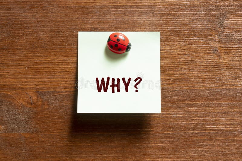 The word why stock image. Image of closeup, green, announcement - 168121559