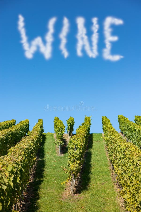 Word Grow Vine Stock Photos - Free & Royalty-Free Stock Photos from ...