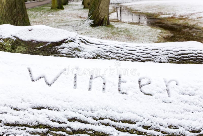 Word Winter Written in Snow on Oak Tree Trunk Stock Image - Image of ...