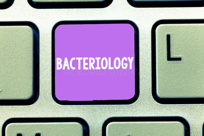 Word Writing Text Bacteriology. Business Concept for Branch of ...