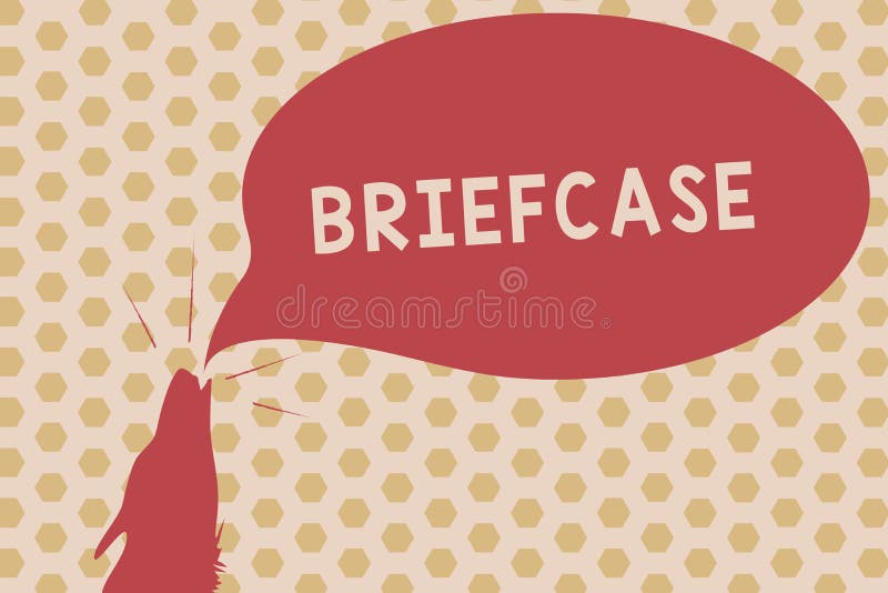 Word Writing Text Briefcase. Business Concept for Leather Plastic ...