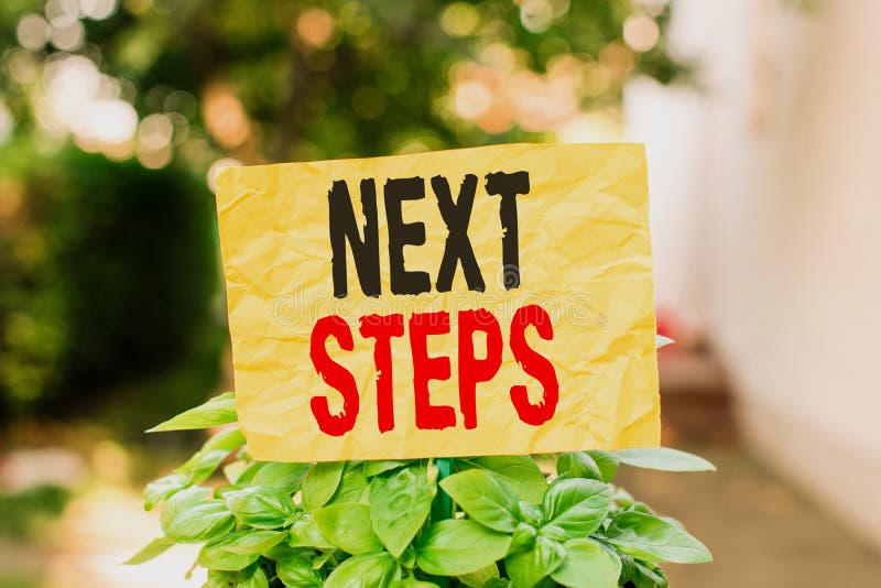 Word Writing Text Next Steps. Business Concept for Something You Do or ...