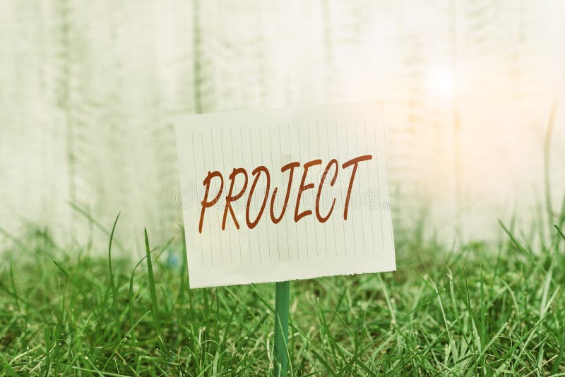 Word Writing Text Project. Business Concept for Planned Work Activity ...