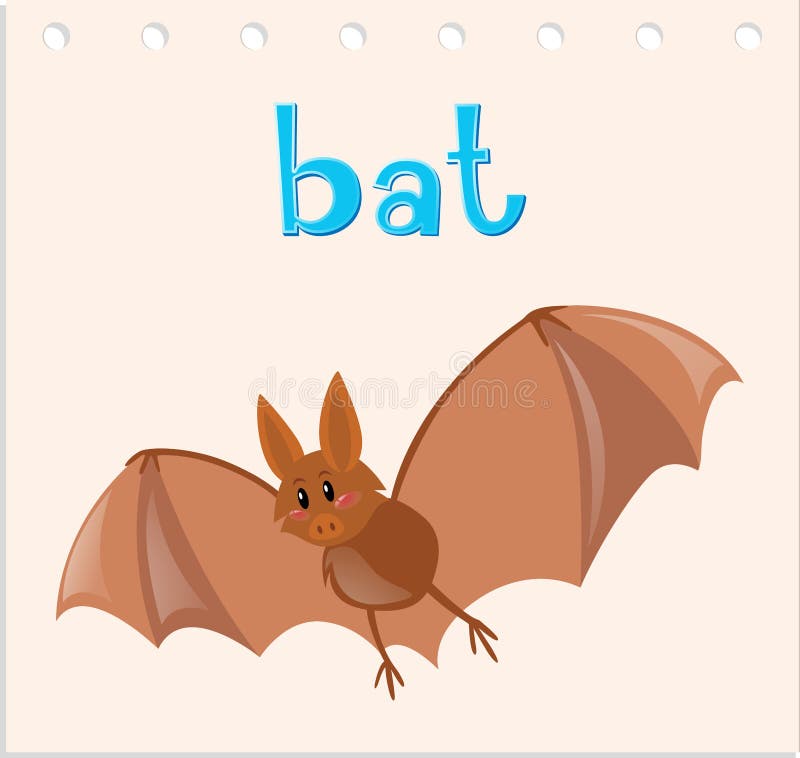 Bat Flashcard Stock Illustrations – 84 Bat Flashcard Stock ...