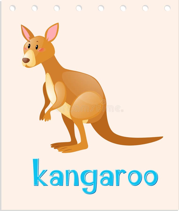 Wordcard with Wild Kangaroo Stock Illustration - Illustration of read ...