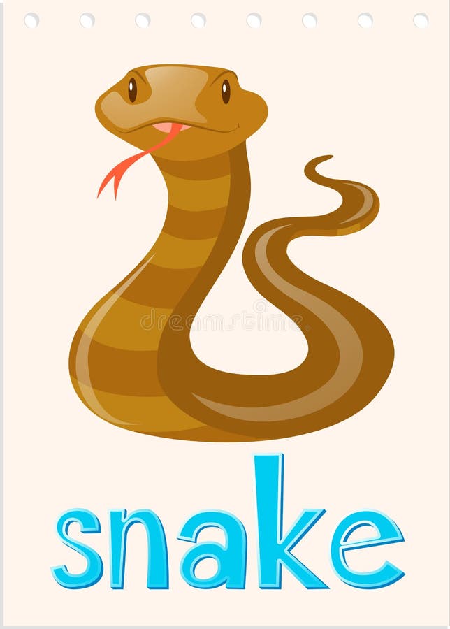 Snake Vocabulary Part Of Body Vector Stock Vector - Illustration of ...