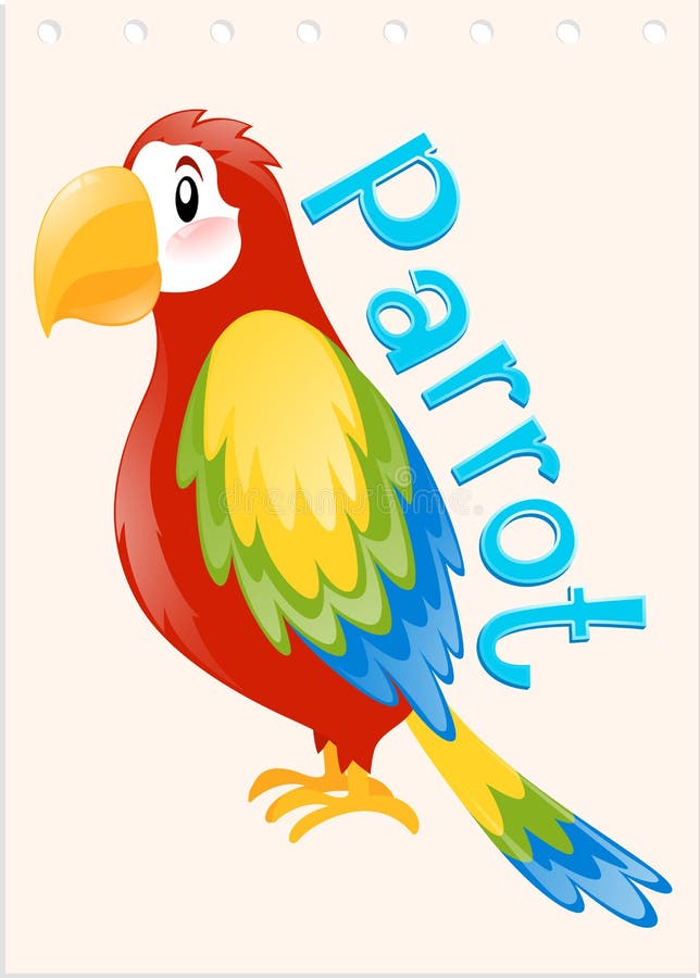 Wordcard with Word and Picture Parrot Stock Vector - Illustration of ...