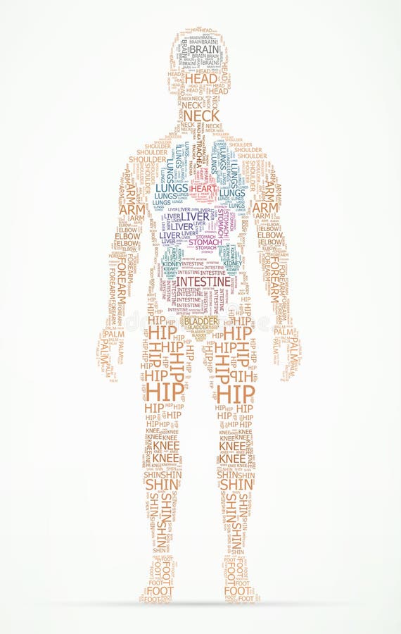 Wordcloud de corps humain illustration de vecteur. Illustration du ...