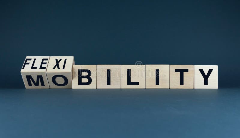 The Words Flexibility and Mobility on Wooden Blocks Stock Photo - Image ...