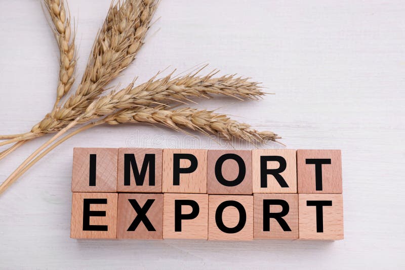 Words Import and Export Made of Cubes and Ears of Wheat on White Wooden ...