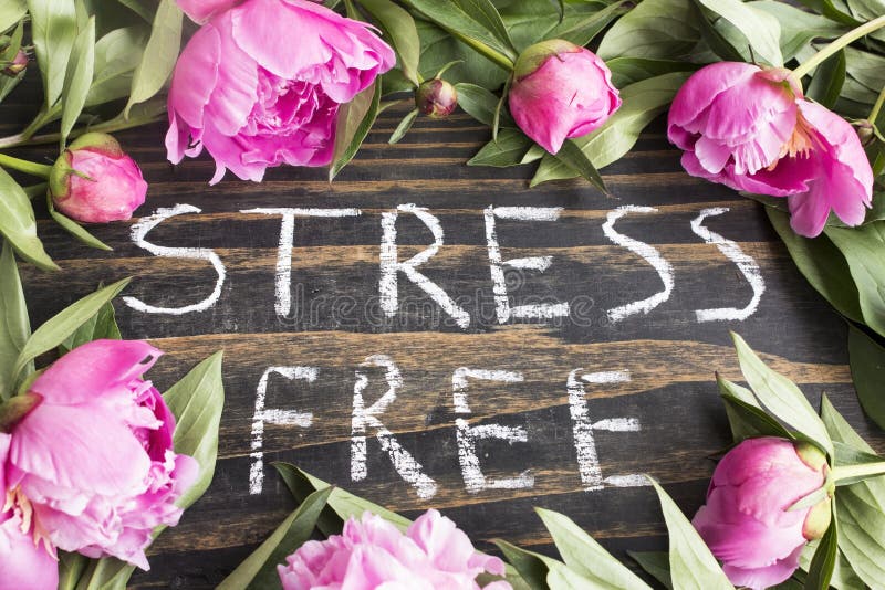 Words Stress Free with Pink Peonies Stock Photo - Image of flora ...