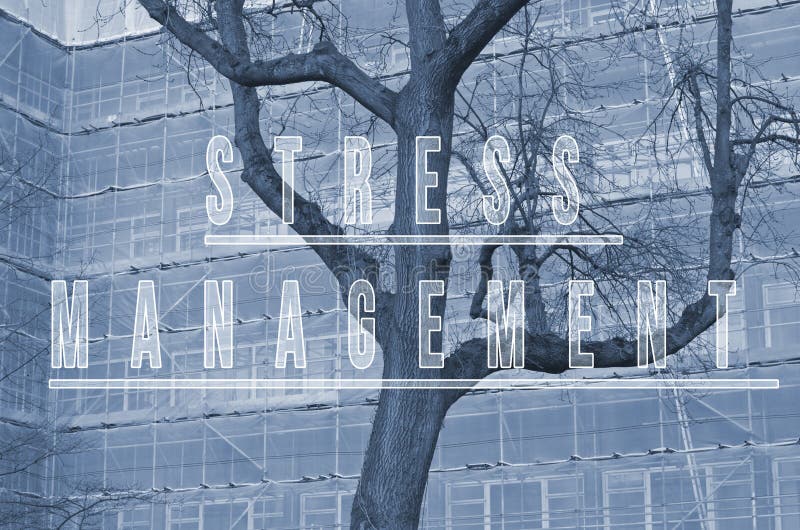 Words Stress Management Written on Building Scaffolding and Tree ...