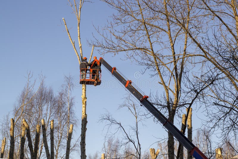 Work on the Aerial Platform, Tree Stock Image - Image of helmet, highup ...