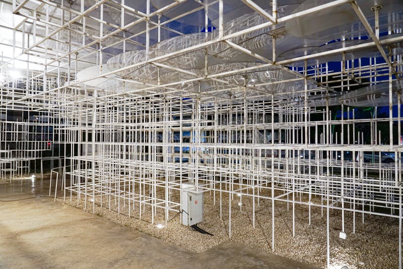 Work of Art, REJA, the Cloud, Inserted in Tirana, Capital of Albania ...