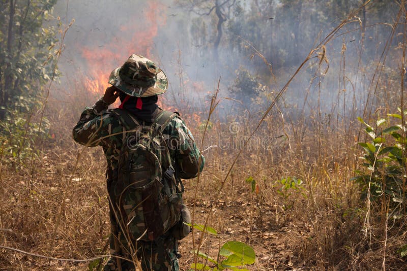 Work Extinguishing Forest Fires Stock Photo - Image of danger, flame ...