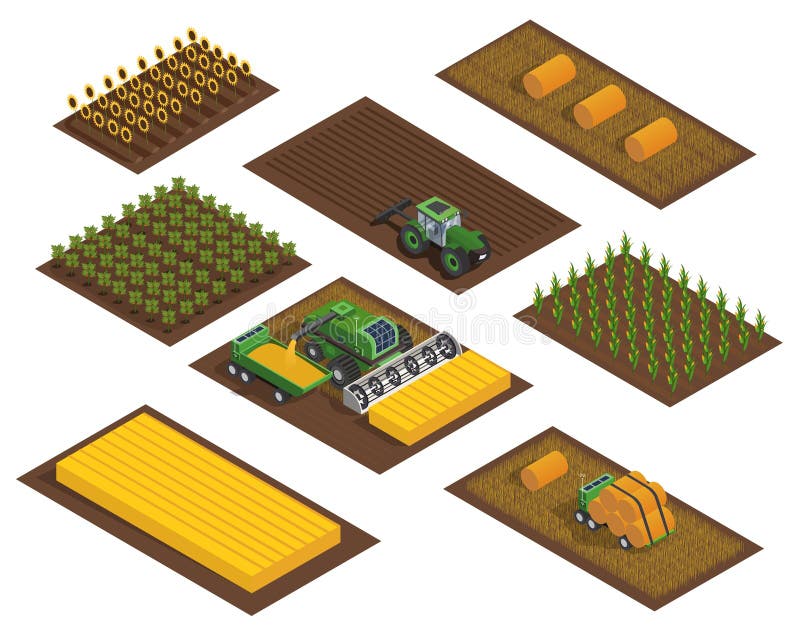 Work in Field Isometric Set Stock Vector - Illustration of land ...