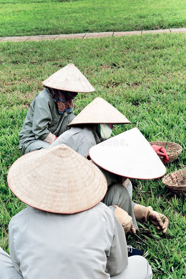 Work in the fields editorial photography. Image of farm - 28062507