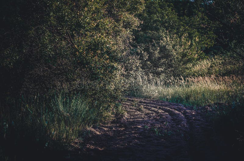 Fire Separation Buffer Strip in a National Reserve. Plow Sand for a ...