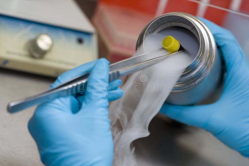 Work with Frozen Samples in Biological Laboratory Stock Photo - Image ...
