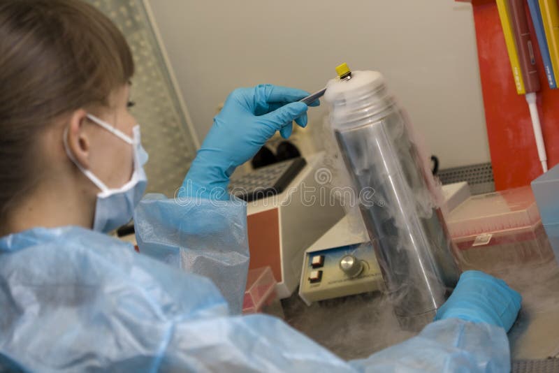 Work with Frozen Samples in Biological Laboratory Stock Photo - Image ...