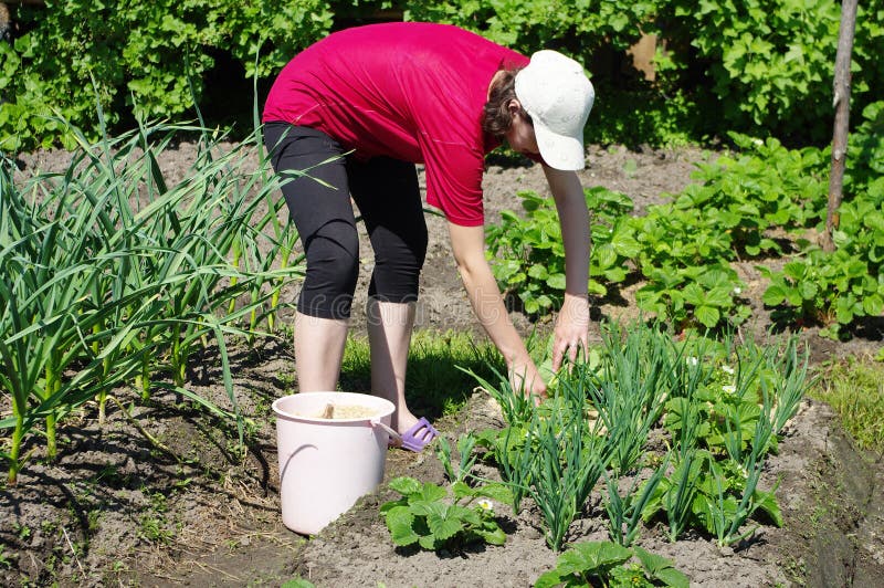 Work in the garden stock photo. Image of summer, grass - 13837304