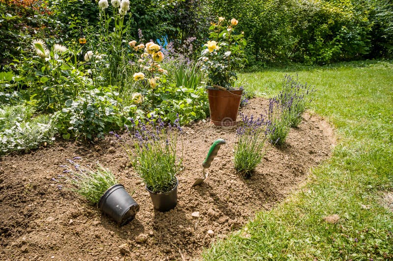 Work in garden stock image. Image of manual, nature, metal - 32844169