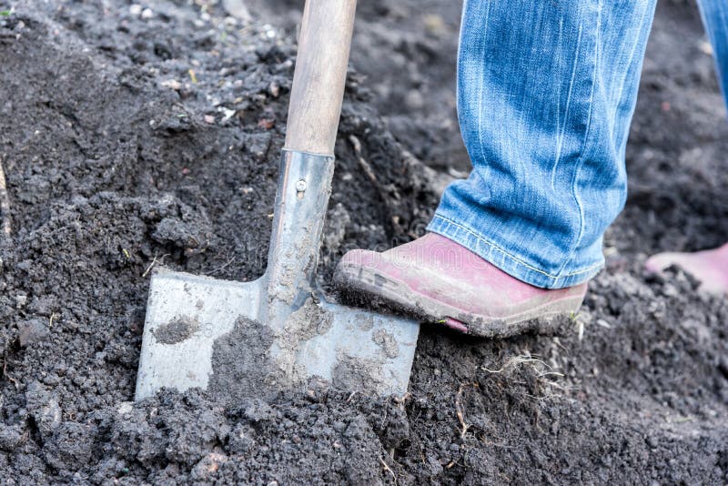 Work in the garden stock image. Image of nature, organic - 64685293