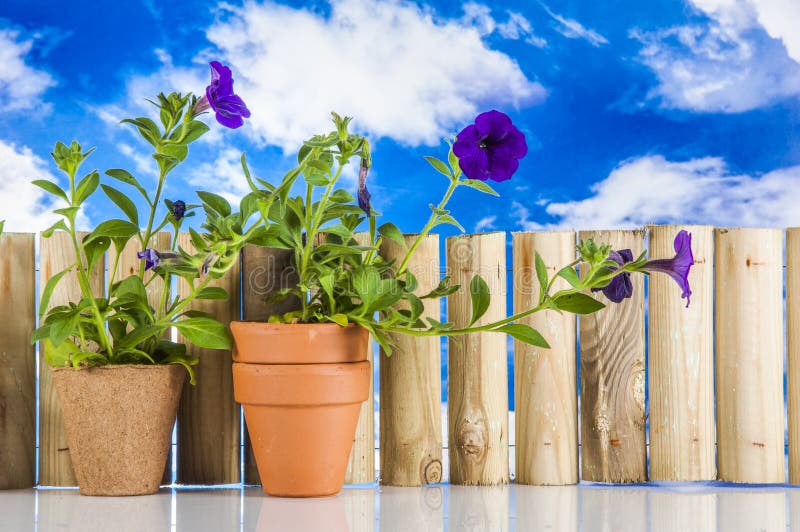 Work in Garden, Spring Composition Stock Image - Image of commissions ...