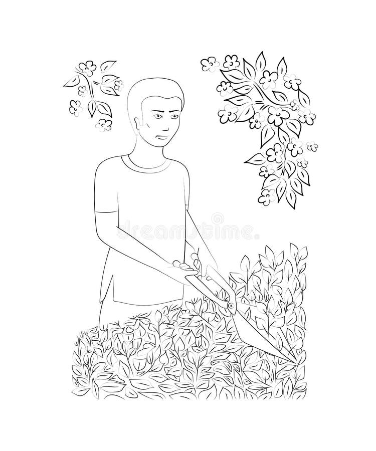 Cutting Hedge Stock Illustrations – 879 Cutting Hedge Stock ...