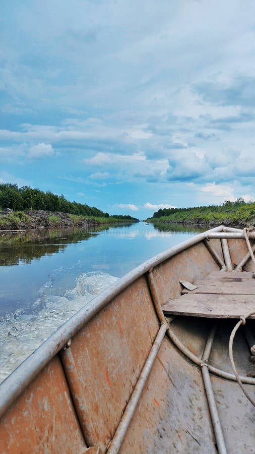 Think Road Stem Microscope Stock Photos - Free & Royalty-Free Stock ...