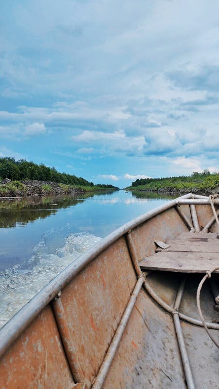 Think Road Stem Microscope Stock Photos - Free & Royalty-Free Stock ...