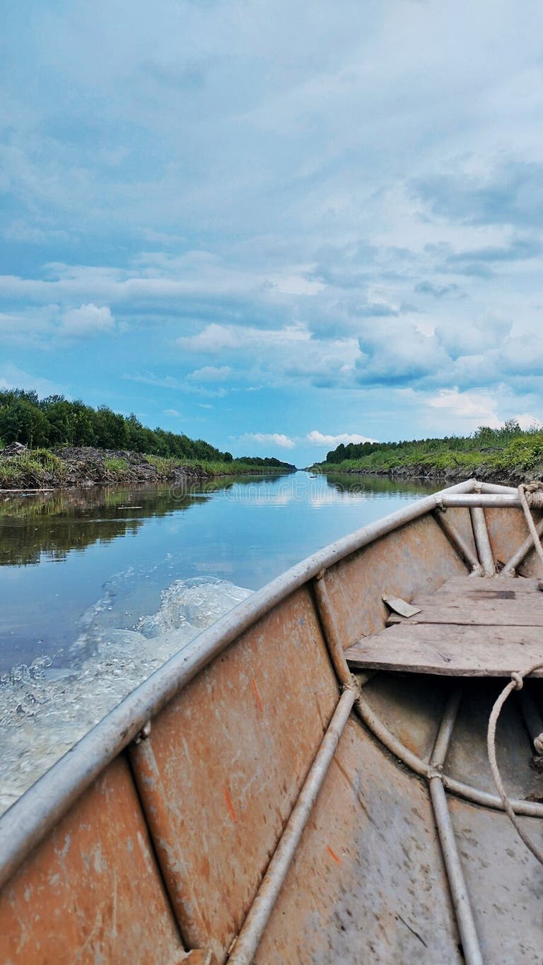 Think Road Stem Microscope Stock Photos - Free & Royalty-Free Stock ...
