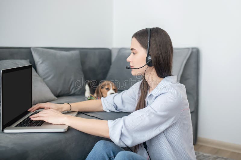 Canter Operator Stock Photos - Free & Royalty-Free Stock Photos from ...