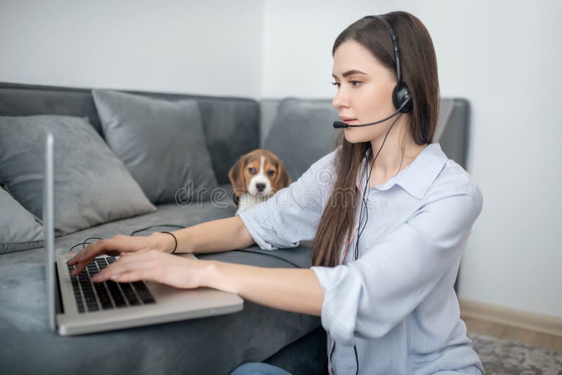 Call Canter Operator Working from Home and Looking Involved Stock Photo ...