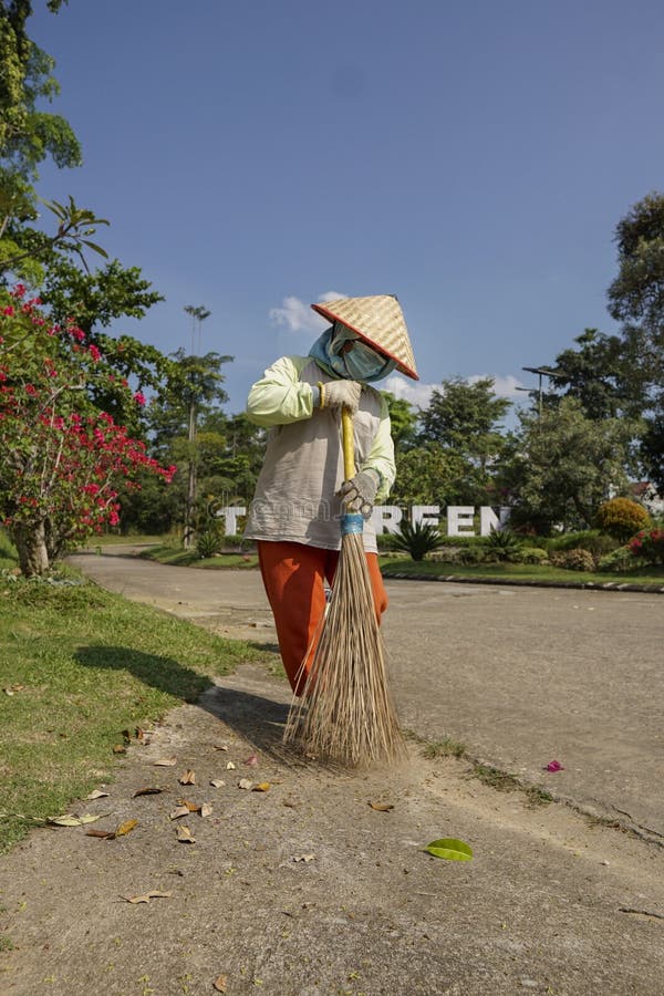 Work editorial stock photo. Image of clean, human, work - 224511973