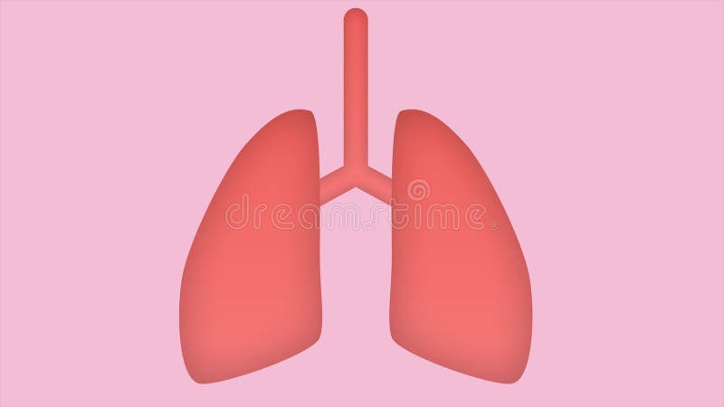 The Work of Human Lungs. Animation 2D Stock Video - Video of anatomy ...
