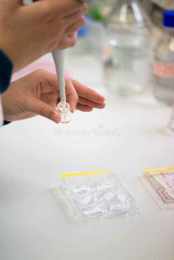 Work in laboratory stock image. Image of capillary, bulb - 57683