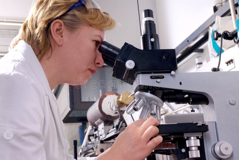 Work in the laboratory stock image. Image of biological - 5213927
