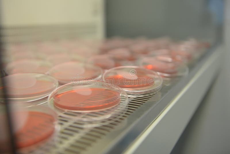 Measuring Microscope with Digital Counter Display Stock Image - Image ...