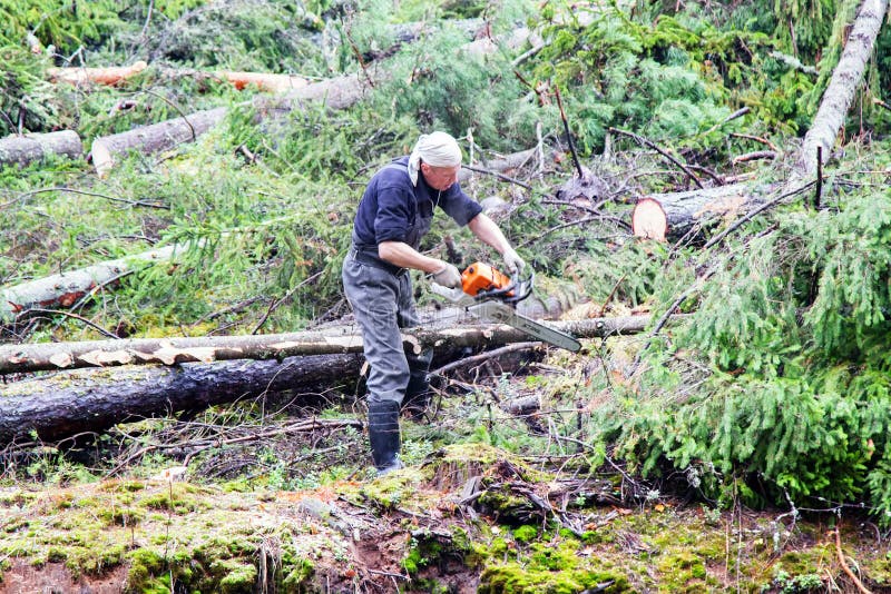 Work of lumberjack editorial photography. Image of area - 198116847