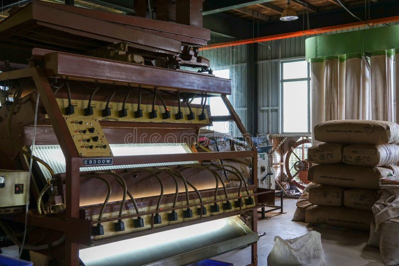 Tea sorting stock image. Image of fresh, crop, inside - 32305145