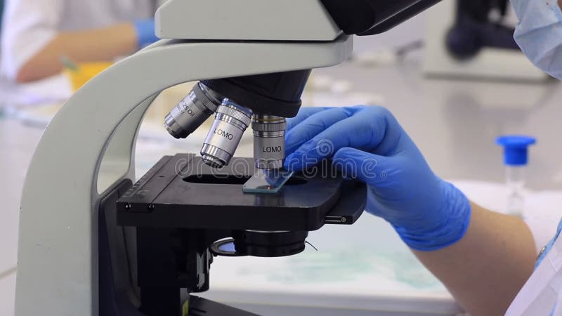 Work on Medical Microscopes for Clinical Laboratory Diagnostics and ...